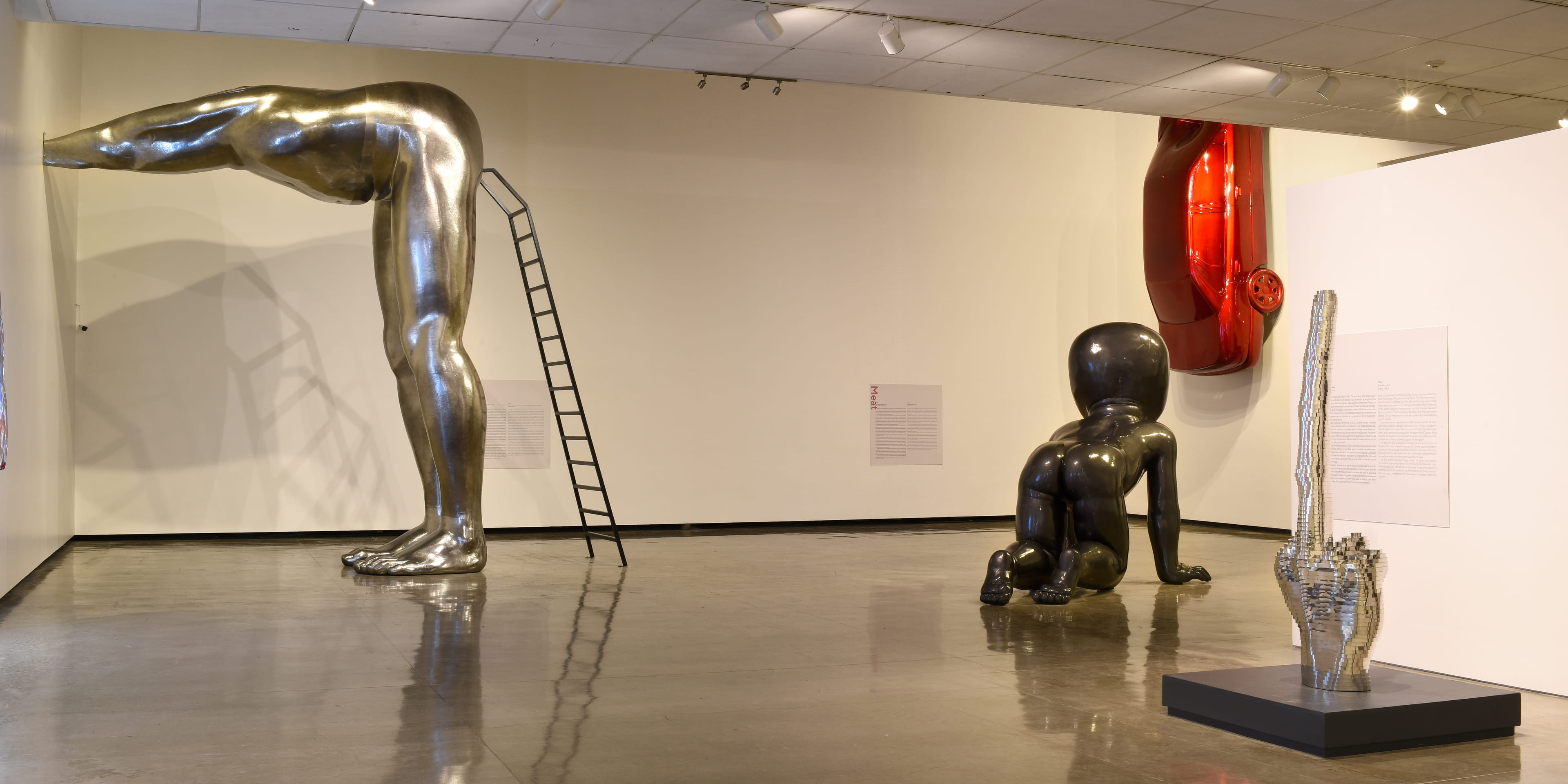 David Cerny Solo Museum Show